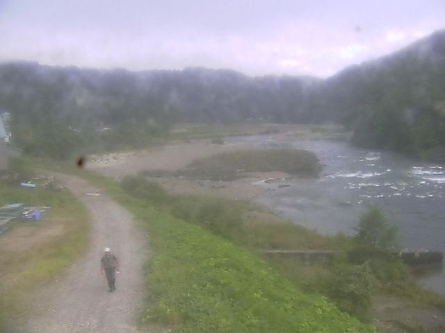 Camview 423